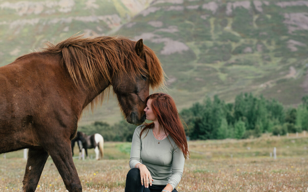 So gewinnst Du den Respekt Deines Pferdes - ganz ohne Gewalt ...