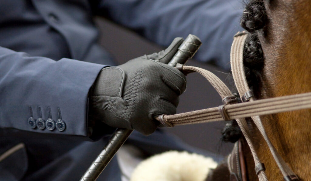 Die Zügelführung und Zügelhilfen beim Reiten: Grundlagen, Tipps und ...