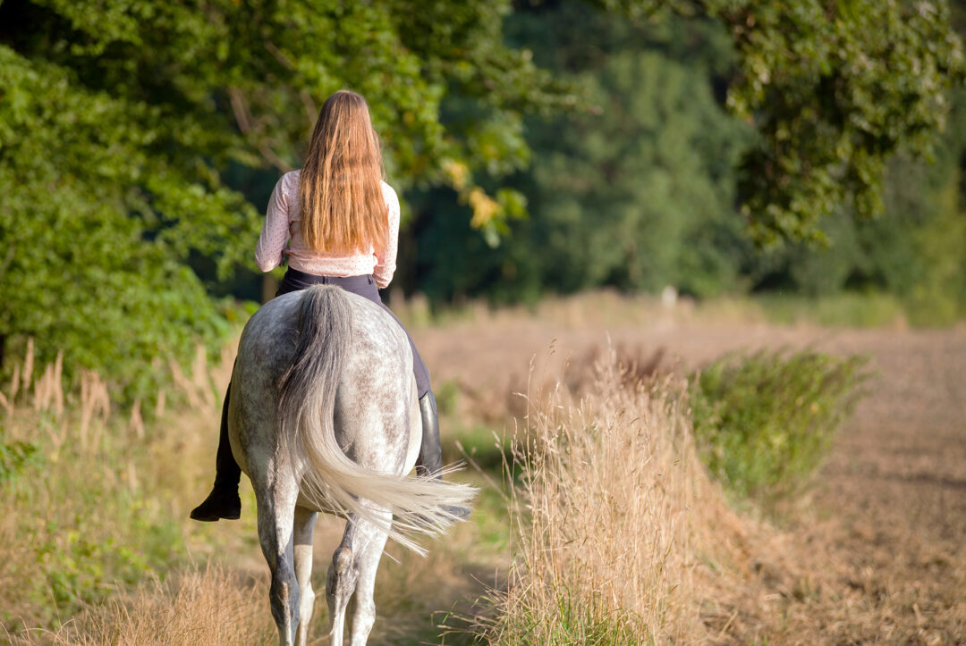 12 Tipps für einen besseren Sitz beim Reiten! [Video] - Herzenspferd