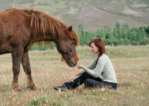 12 Vokabeln der Pferdesprache, die Du kennen solltest! - Herzenspferd