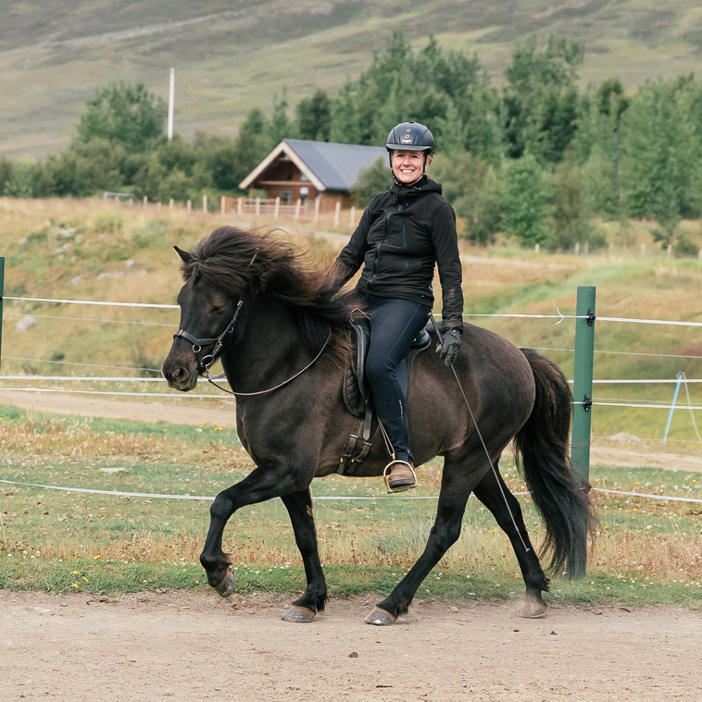 Tölt in Balance - Herzenspferd
